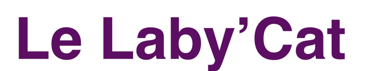 Laby'Cat files via Payfacile